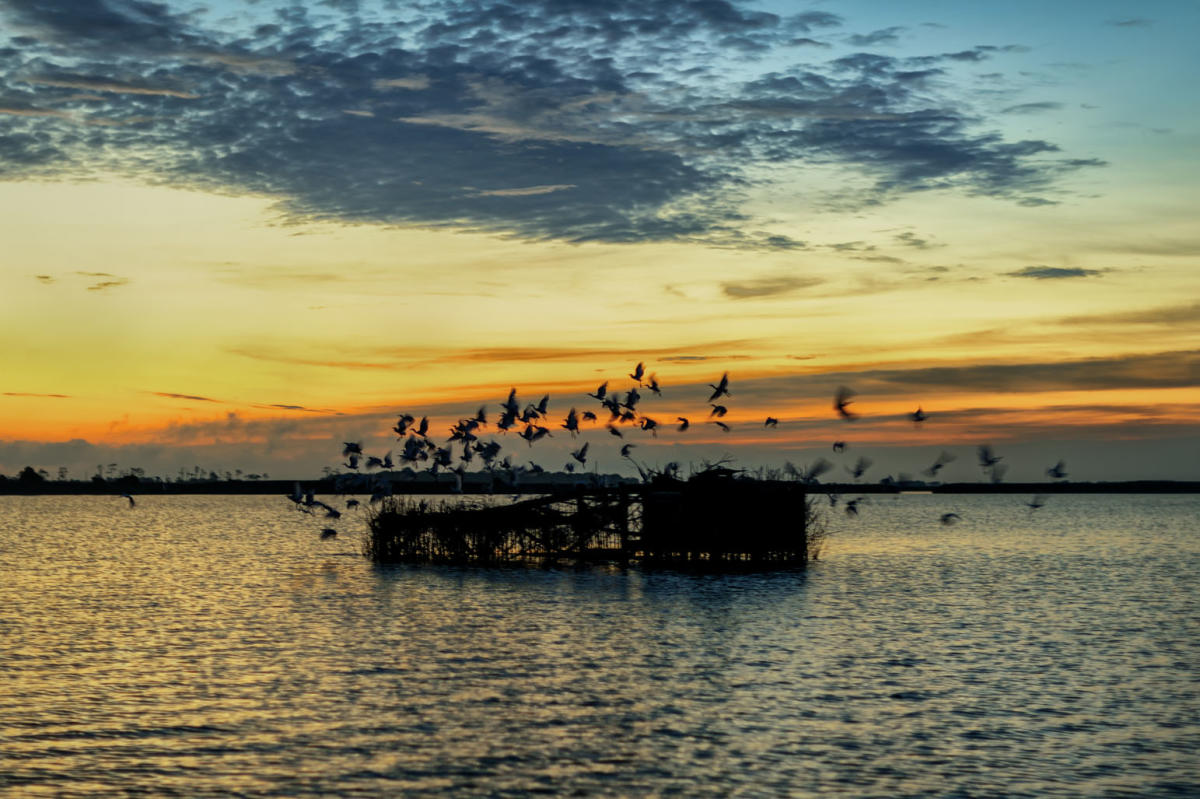 Moore to See Photo Expeditions