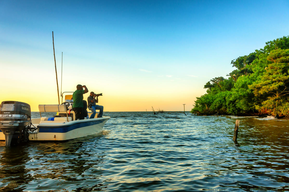 Moore to See Photo Expeditions