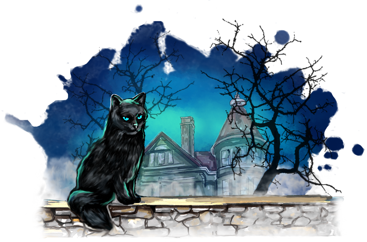Black Cat Escape Room