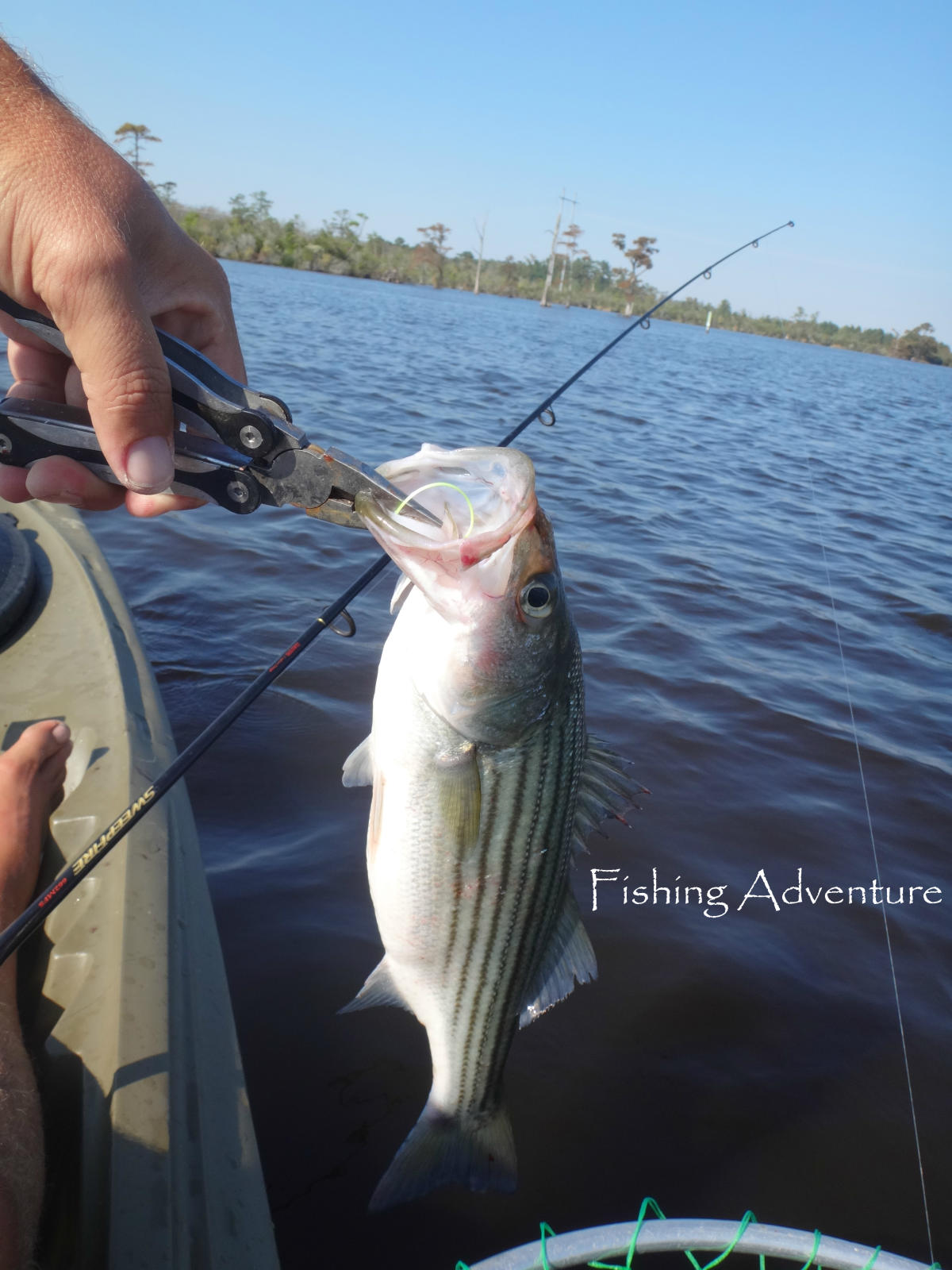 Adventure Kayak Tours