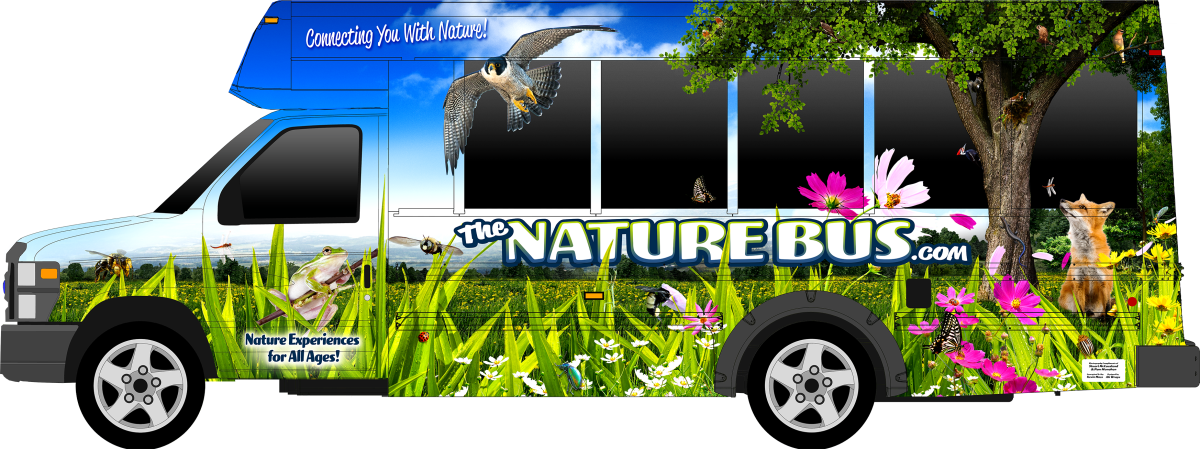 The Nature Bus