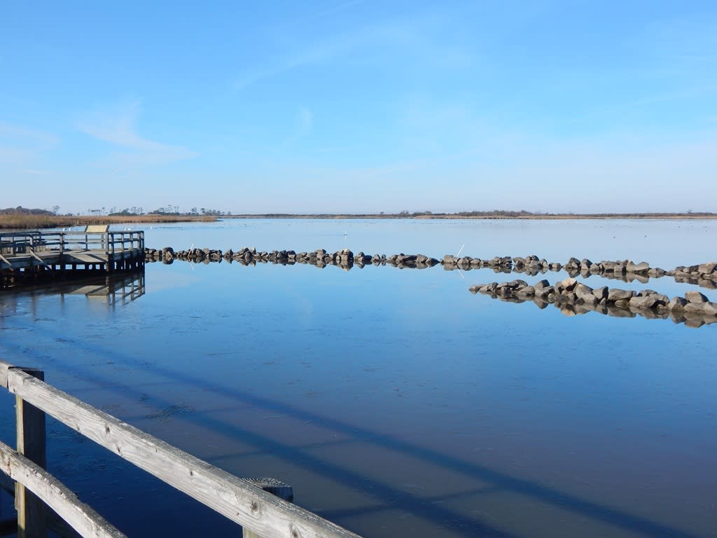 Back Bay National Wildlife Refuge
