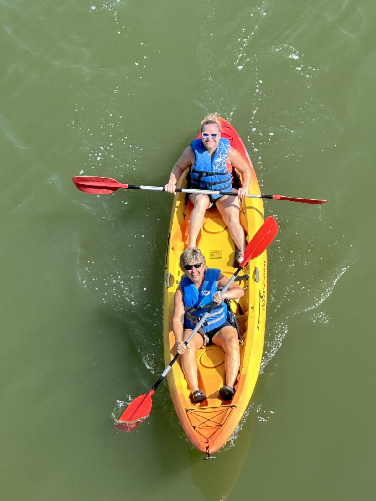GoKayak! Paddle with a Porpoise!
