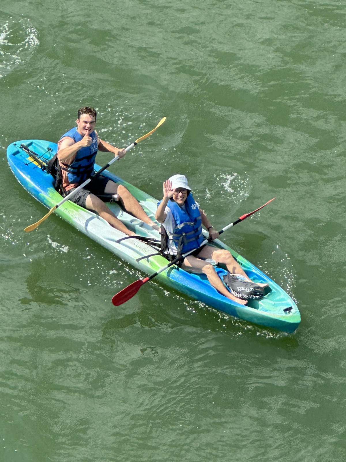 GoKayak! Paddle with a Porpoise!