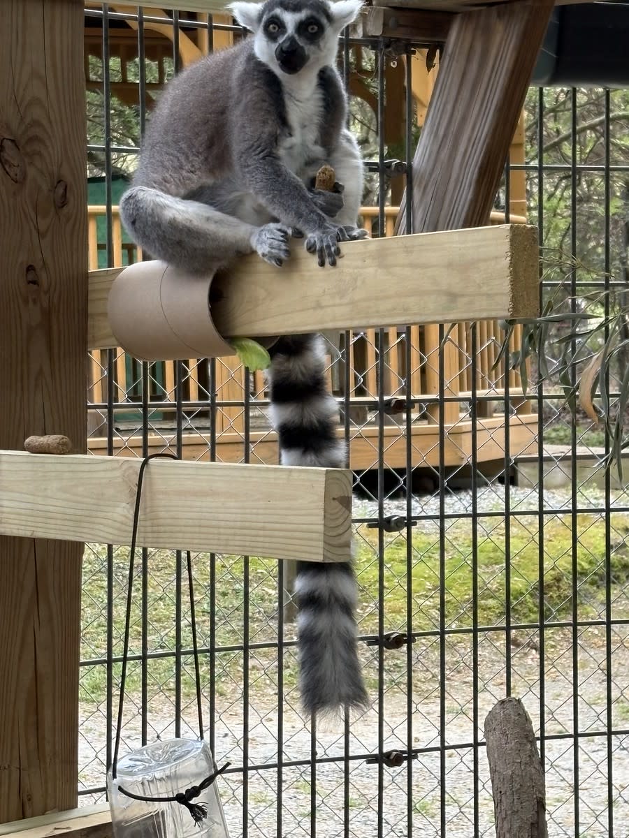 Animal Park at the Conservators Center