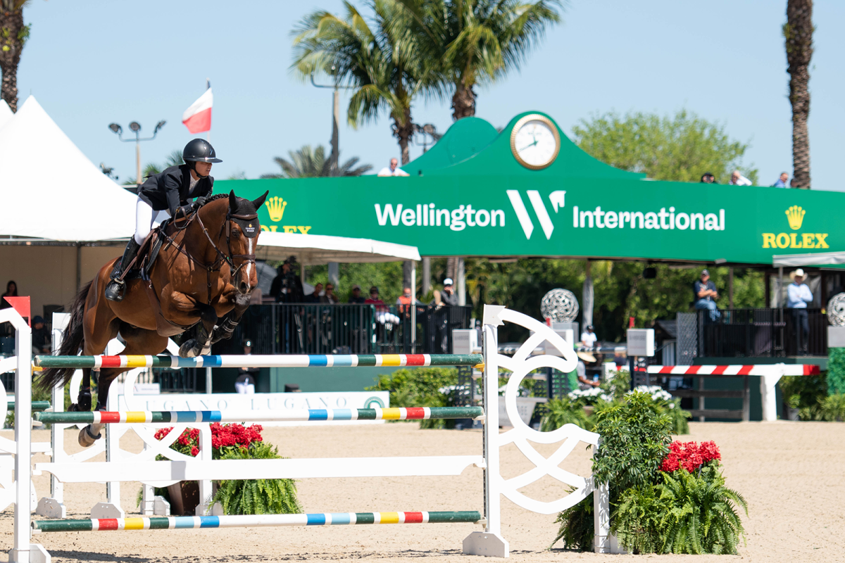 Wellington International in Wellington | VISIT FLORIDA
