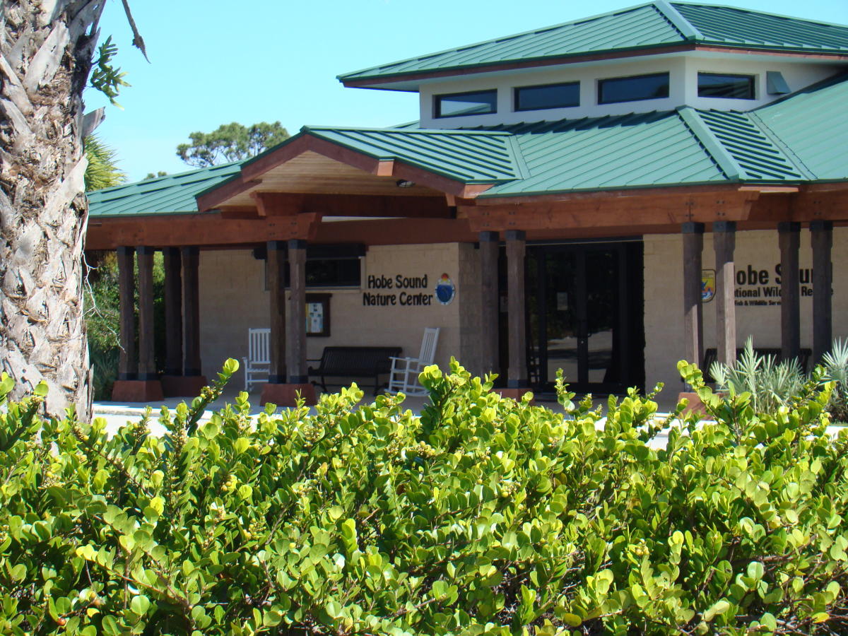 The Hobe Sound Nature Center, Inc. in Hobe Sound | VISIT FLORIDA