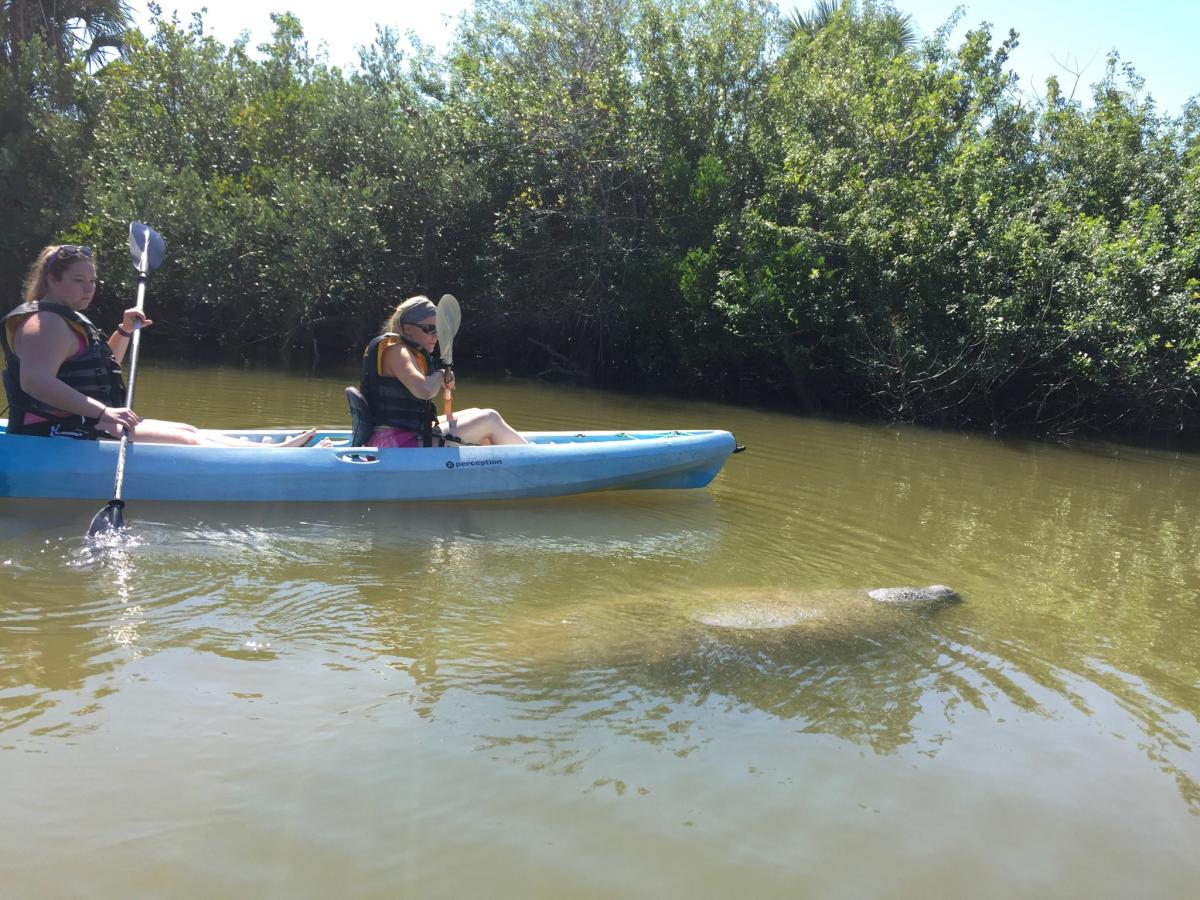 Florida Adventurer - Bioluminescent Kayaking in Merritt Island | VISIT ...