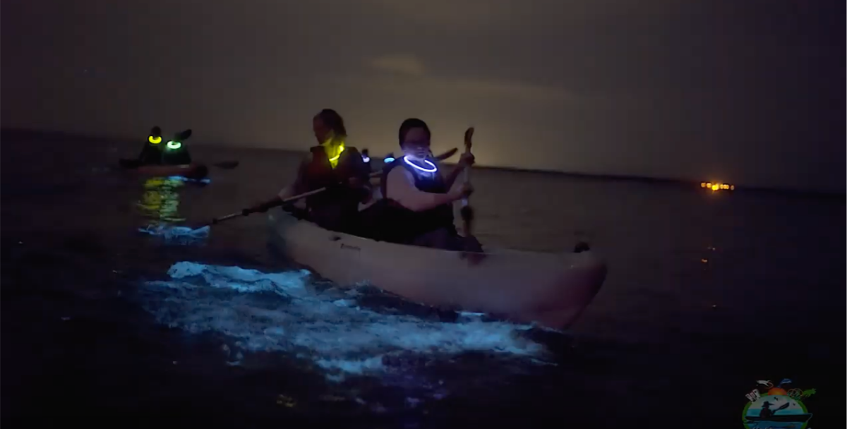Florida Adventurer - Bioluminescent Kayaking in Merritt Island | VISIT ...