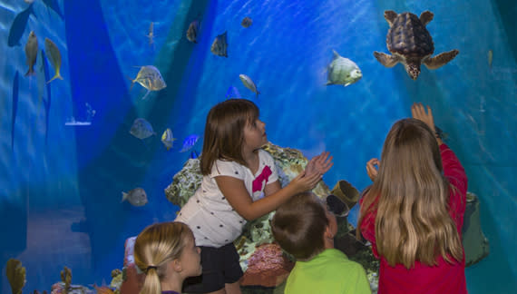 Conservancy of Southwest Florida Nature Center in Naples | VISIT FLORIDA