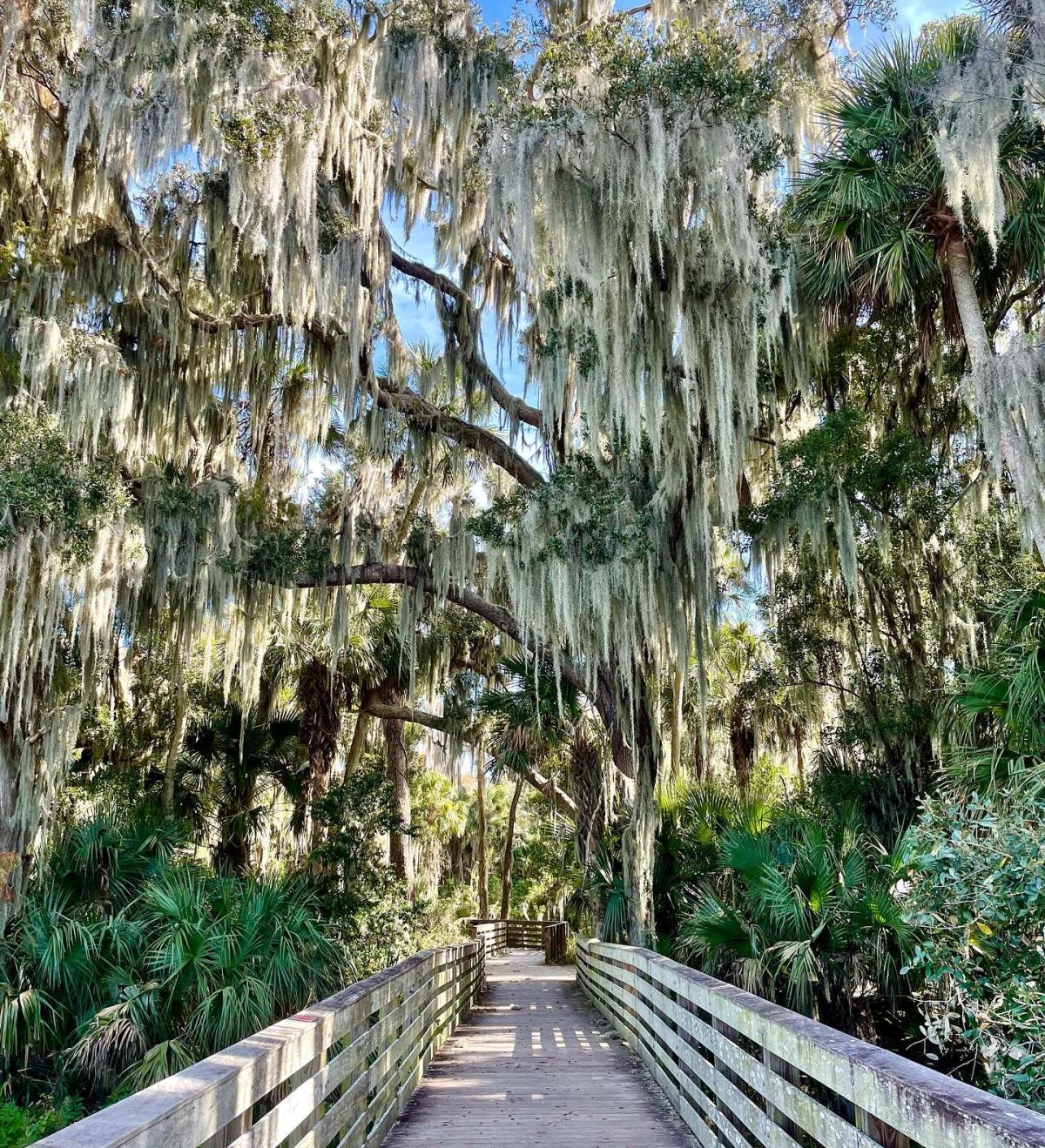 Discover Lake County in Groveland | VISIT FLORIDA