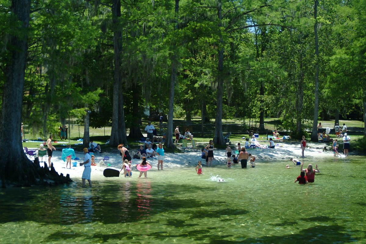 Wakulla County Tourist Development Council in Panacea | VISIT FLORIDA