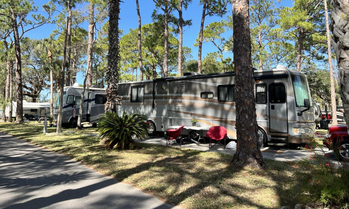 Oak Springs Travel Park - Port Richey in Port Richey | VISIT FLORIDA