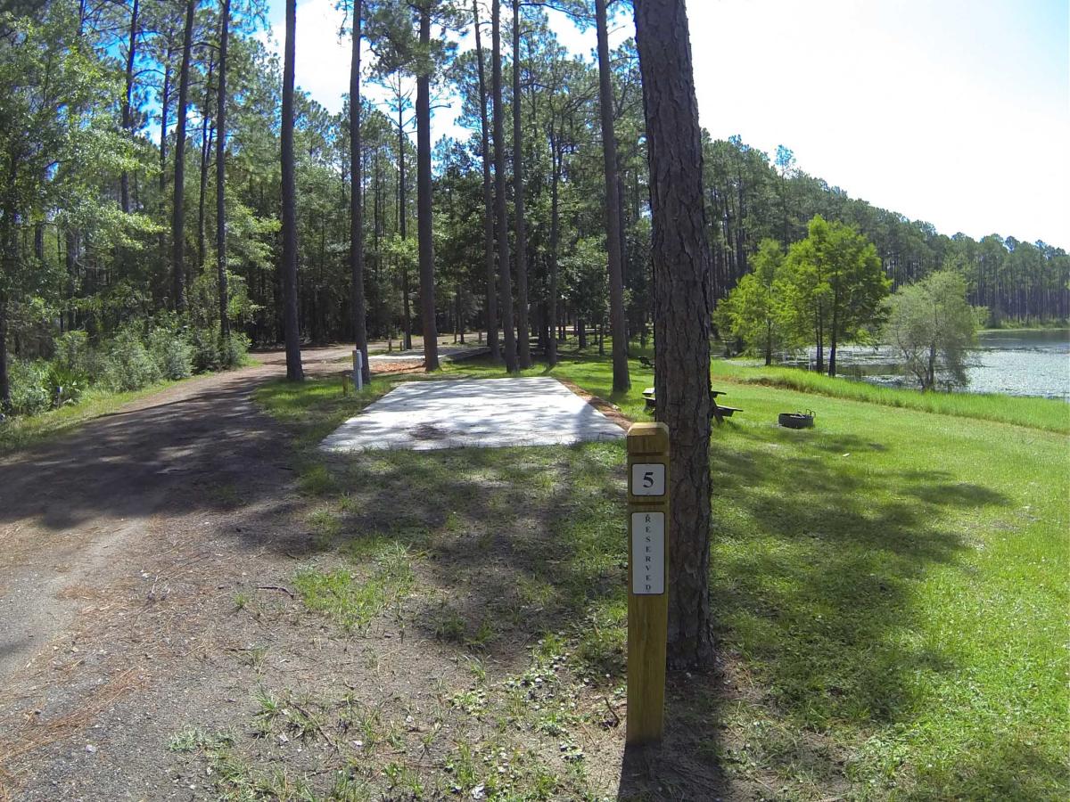 Pine Log State Forest in Ebro | VISIT FLORIDA