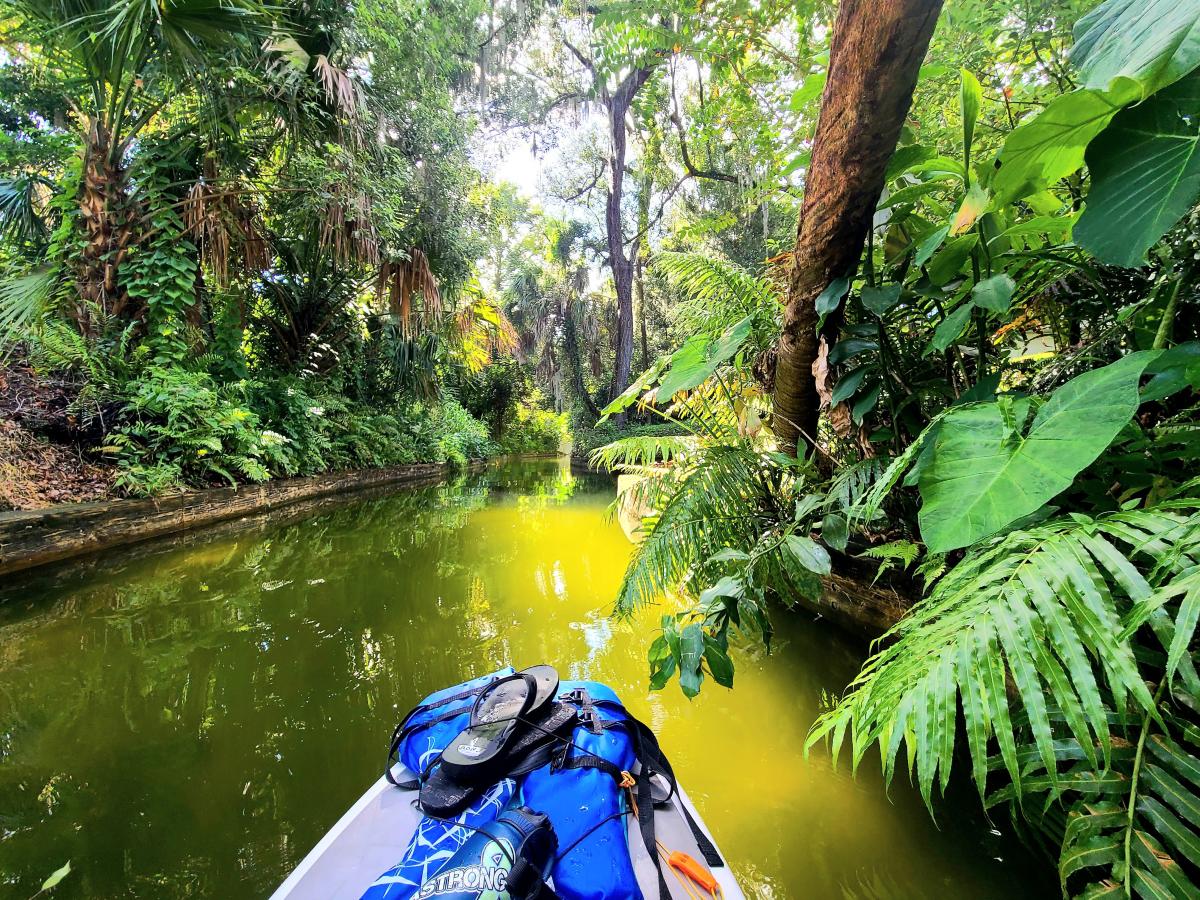 Epic Paddle Adventures in Orlando | VISIT FLORIDA