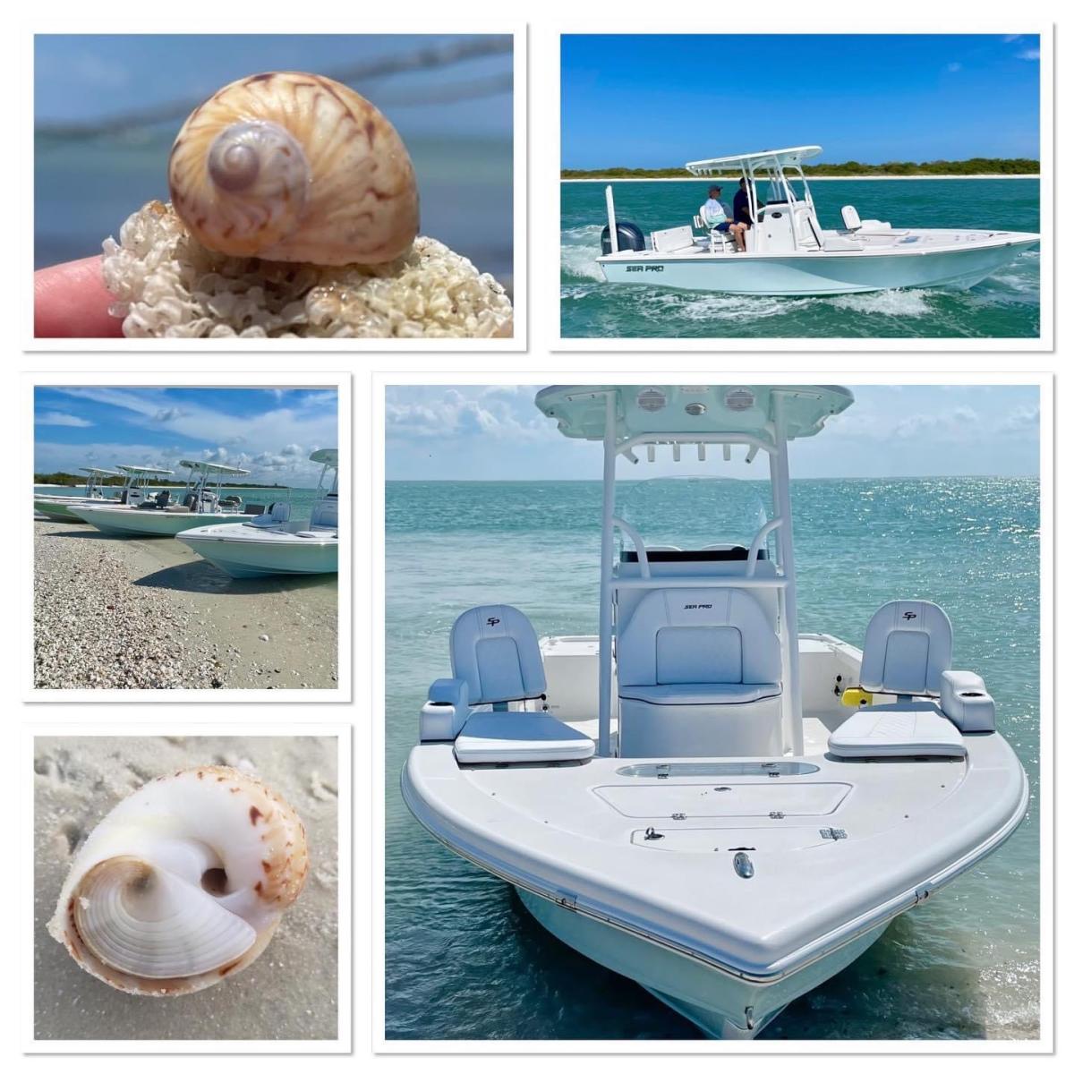 Treasure Seekers Shell Tours in Marco Island | VISIT FLORIDA