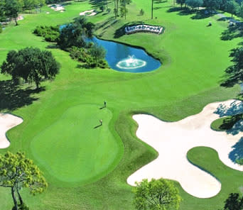 Innisbrook Resort - Copperhead Course in Innisbrook | VISIT FLORIDA