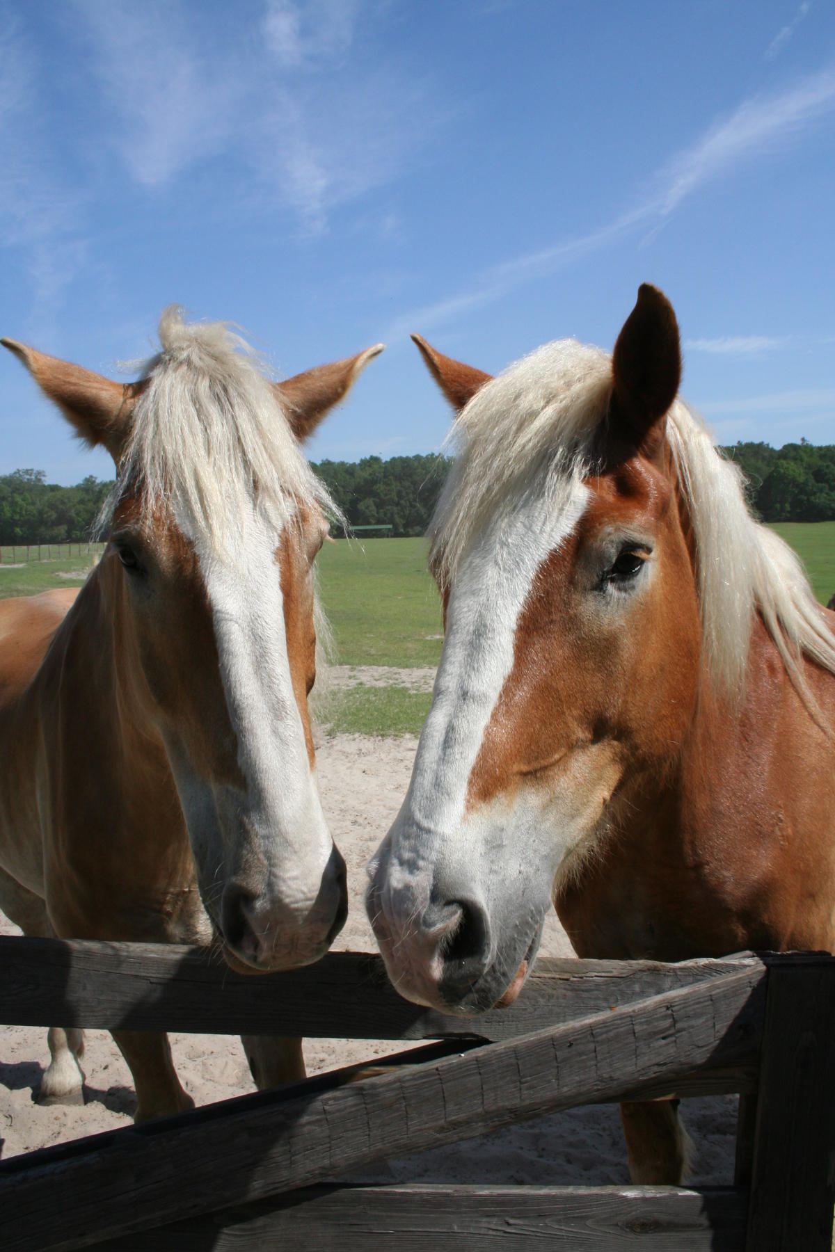 Visit Gainesville, Alachua County, FL in Gainesville | VISIT FLORIDA