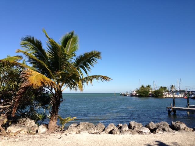 Captain Pip's Marina & Hideaway in Marathon | VISIT FLORIDA