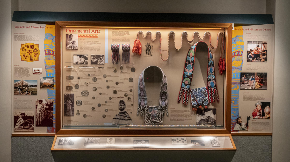 Florida Museum of Natural History in Gainesville | VISIT FLORIDA