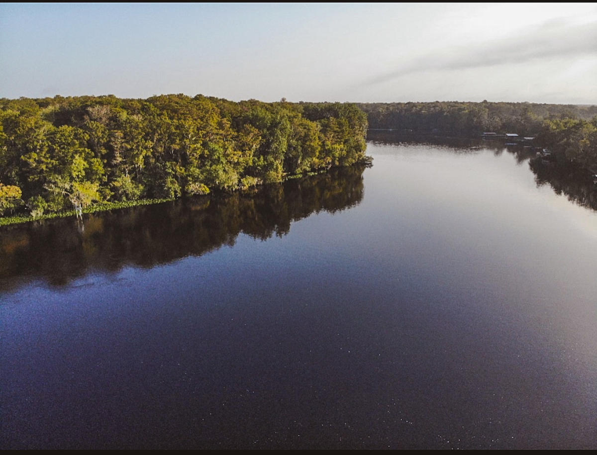 Levy County Visitors Bureau in Williston | VISIT FLORIDA