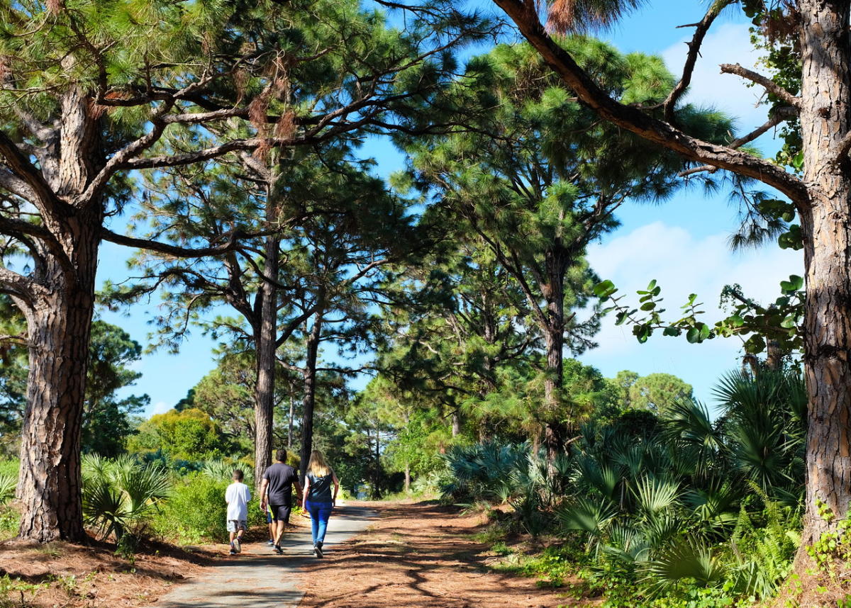 City of Boynton Beach in Boynton Beach | VISIT FLORIDA