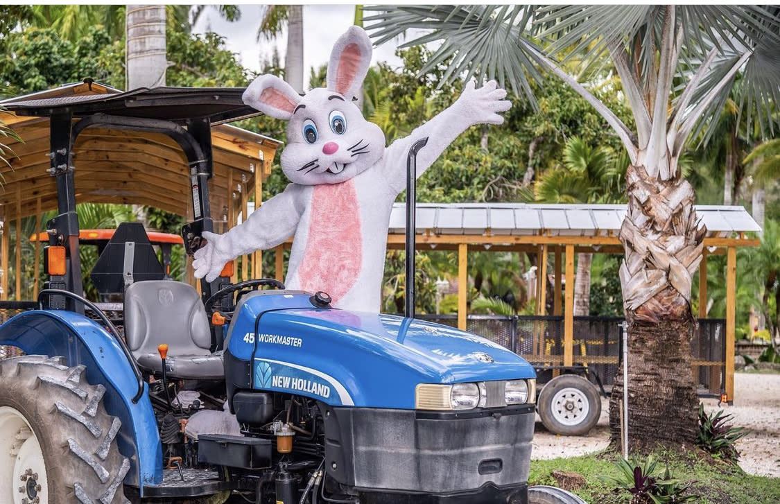 Pinto's Farm in Miami | VISIT FLORIDA