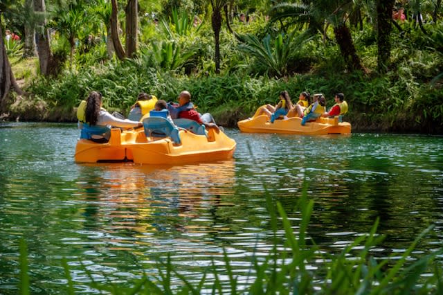 Pinto's Farm in Miami | VISIT FLORIDA