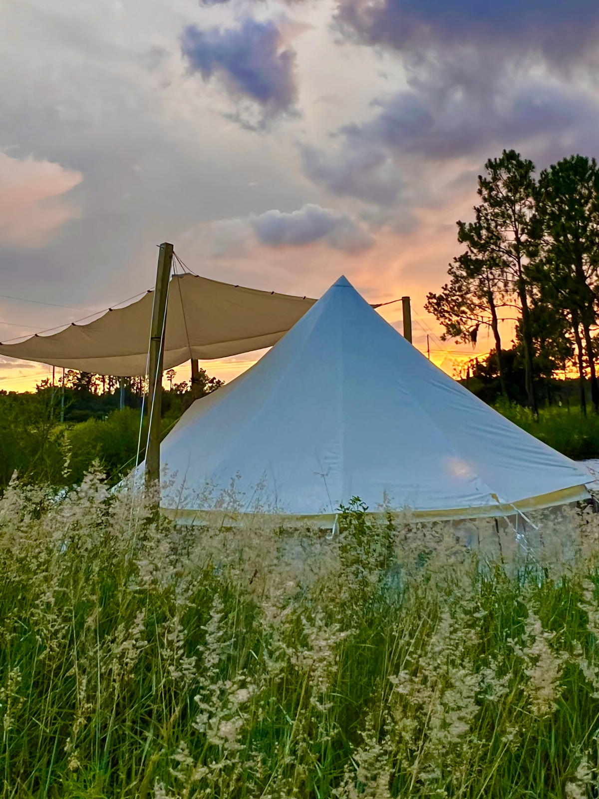 Comfy Camping Glamping Rentals in Lithia | VISIT FLORIDA