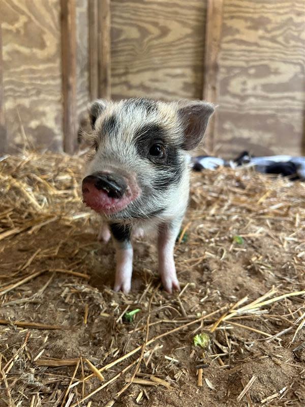 Alaqua Animal Refuge in Freeport | VISIT FLORIDA