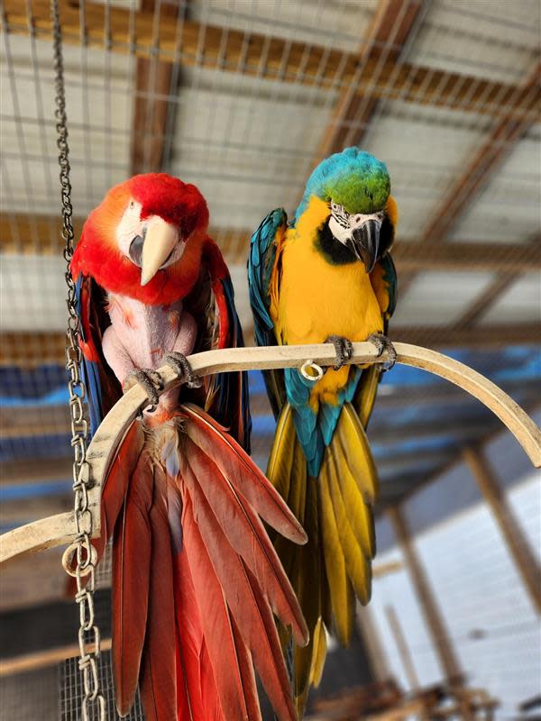 Alaqua Animal Refuge in Freeport | VISIT FLORIDA