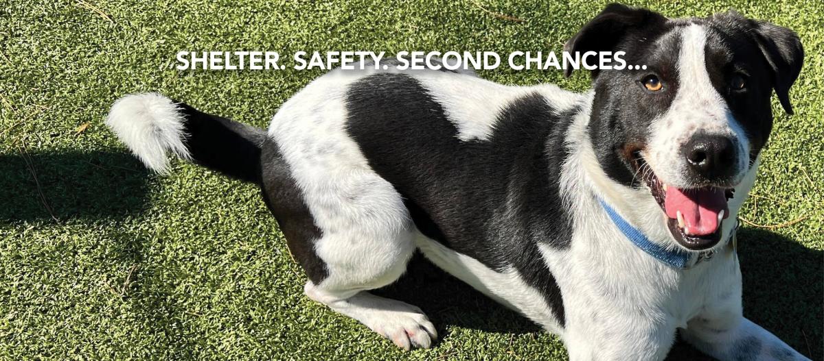 Alaqua Animal Refuge in Freeport | VISIT FLORIDA