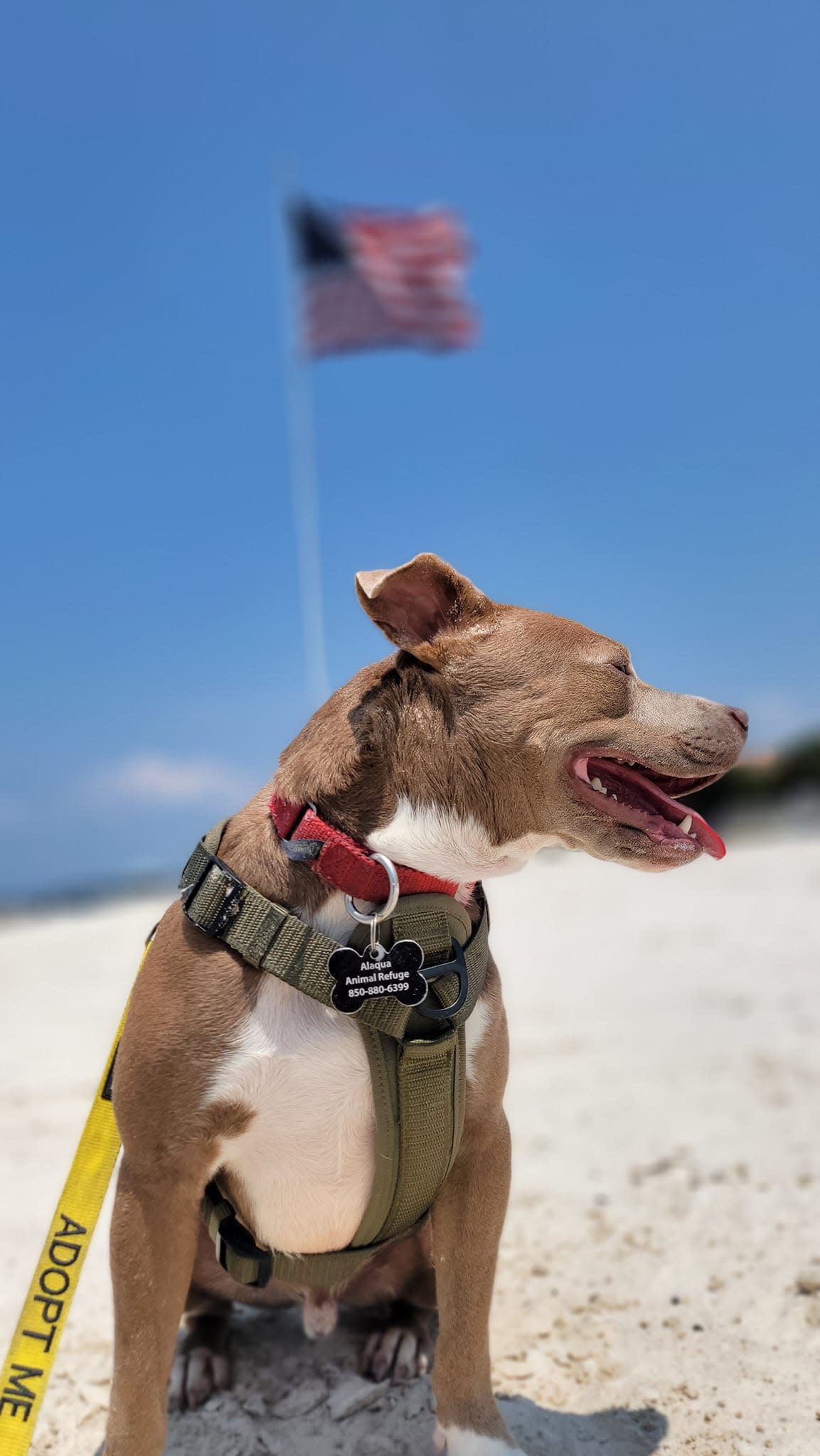 Alaqua Animal Refuge in Freeport | VISIT FLORIDA