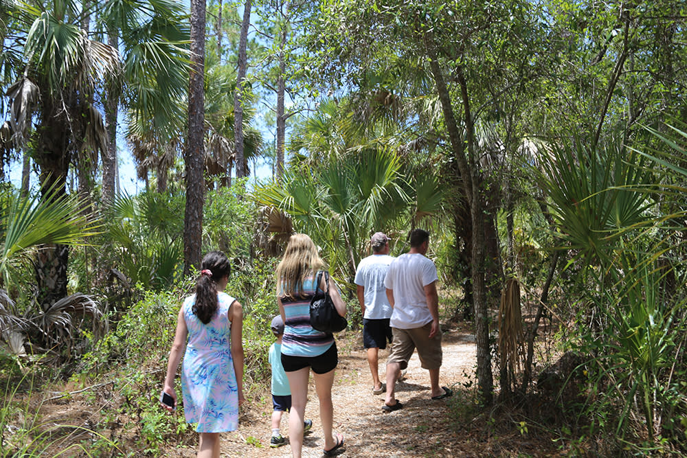 Friends of Rookery Bay in Naples | VISIT FLORIDA