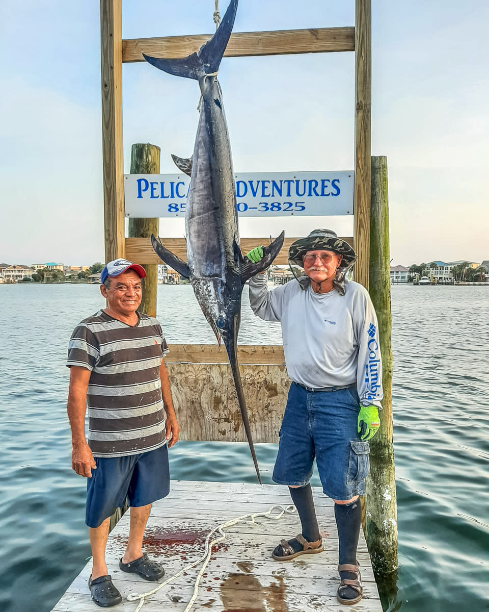 Pelican Adventures in Destin | VISIT FLORIDA