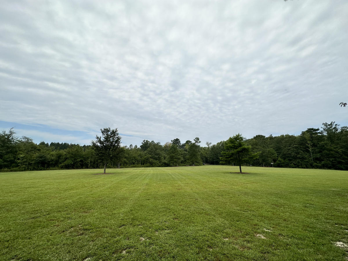 Holmes Creek Camping & RV Resort in Vernon | VISIT FLORIDA