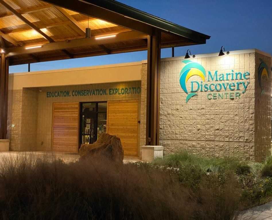Marine Discovery Center in New Smyrna Beach | VISIT FLORIDA