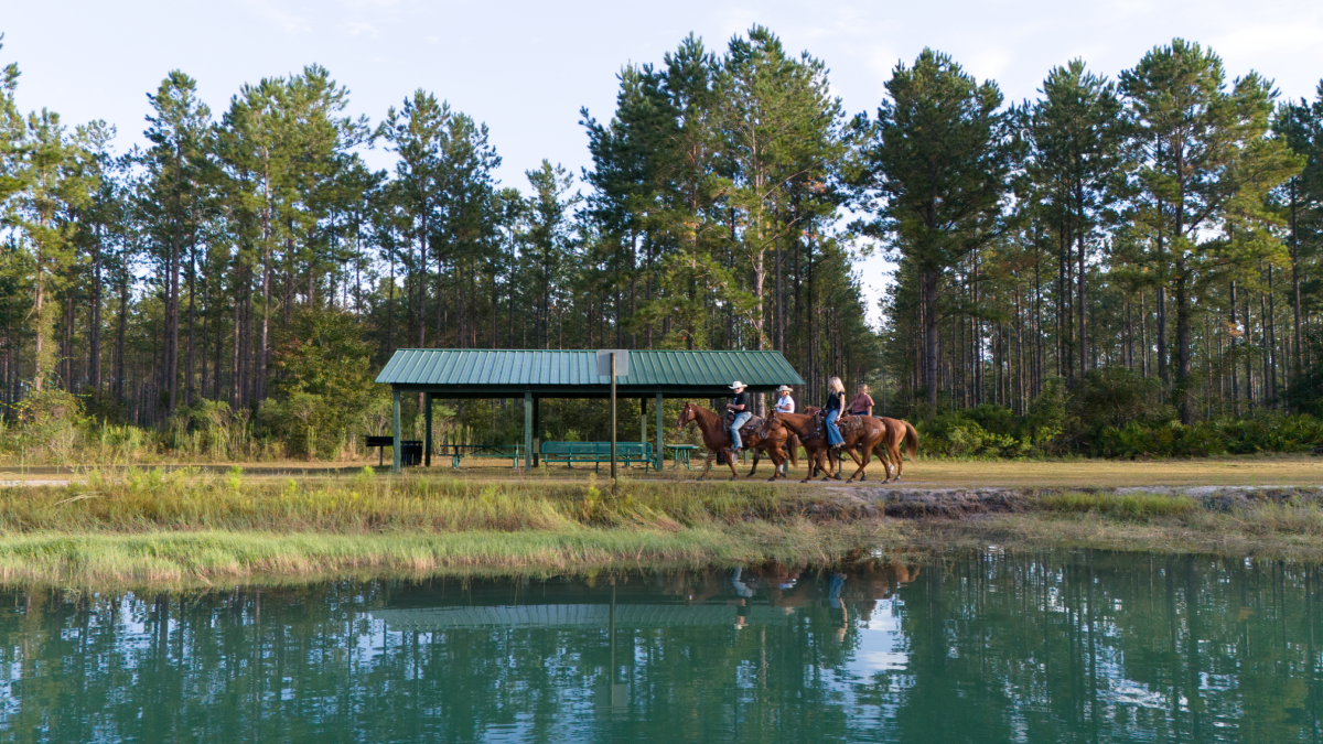 Baker County Tourist Development Council in Macclenny | VISIT FLORIDA