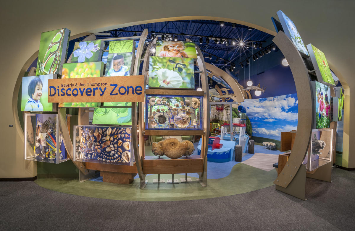 Florida Museum of Natural History in Gainesville | VISIT FLORIDA