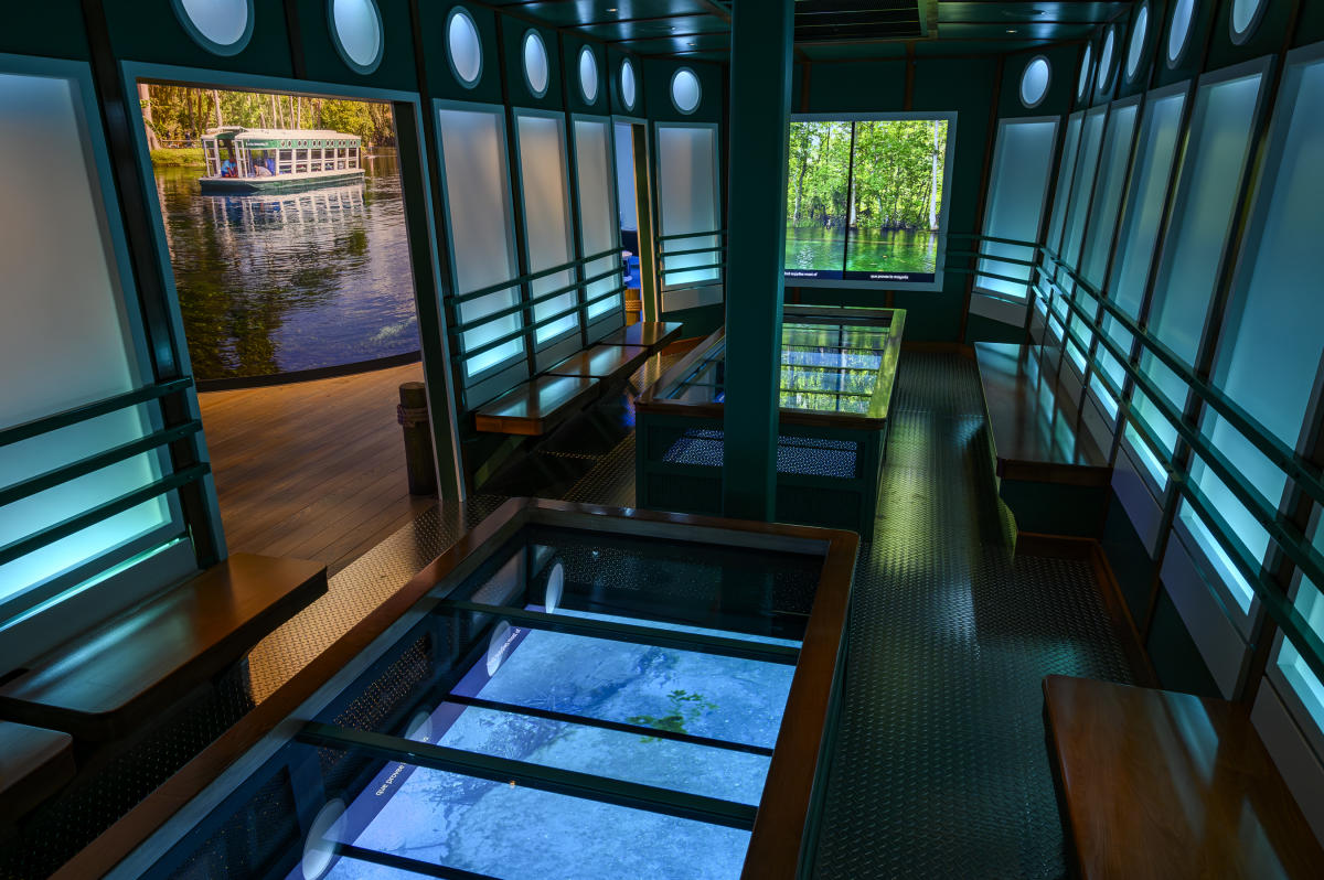 Florida Museum of Natural History in Gainesville | VISIT FLORIDA