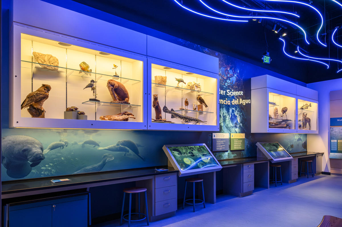 Florida Museum of Natural History in Gainesville | VISIT FLORIDA