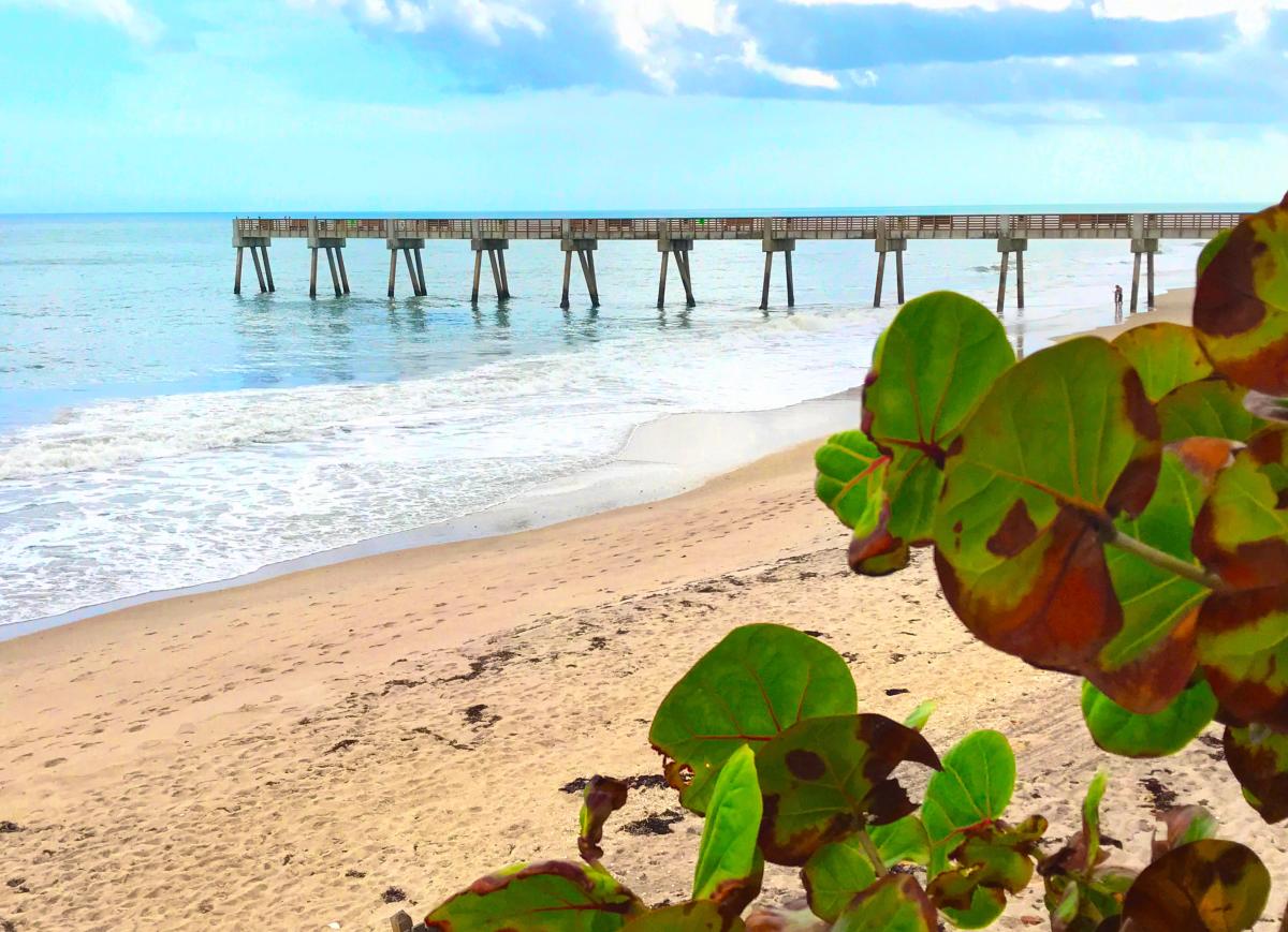 Visit Indian River County in Vero Beach | VISIT FLORIDA