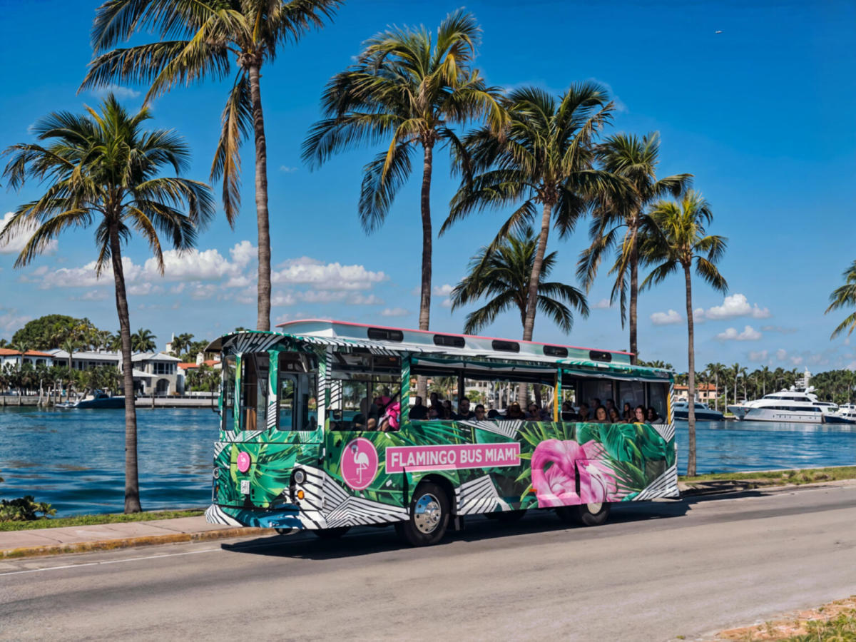 FLAMINGO BUS MIAMI in Miami | VISIT FLORIDA