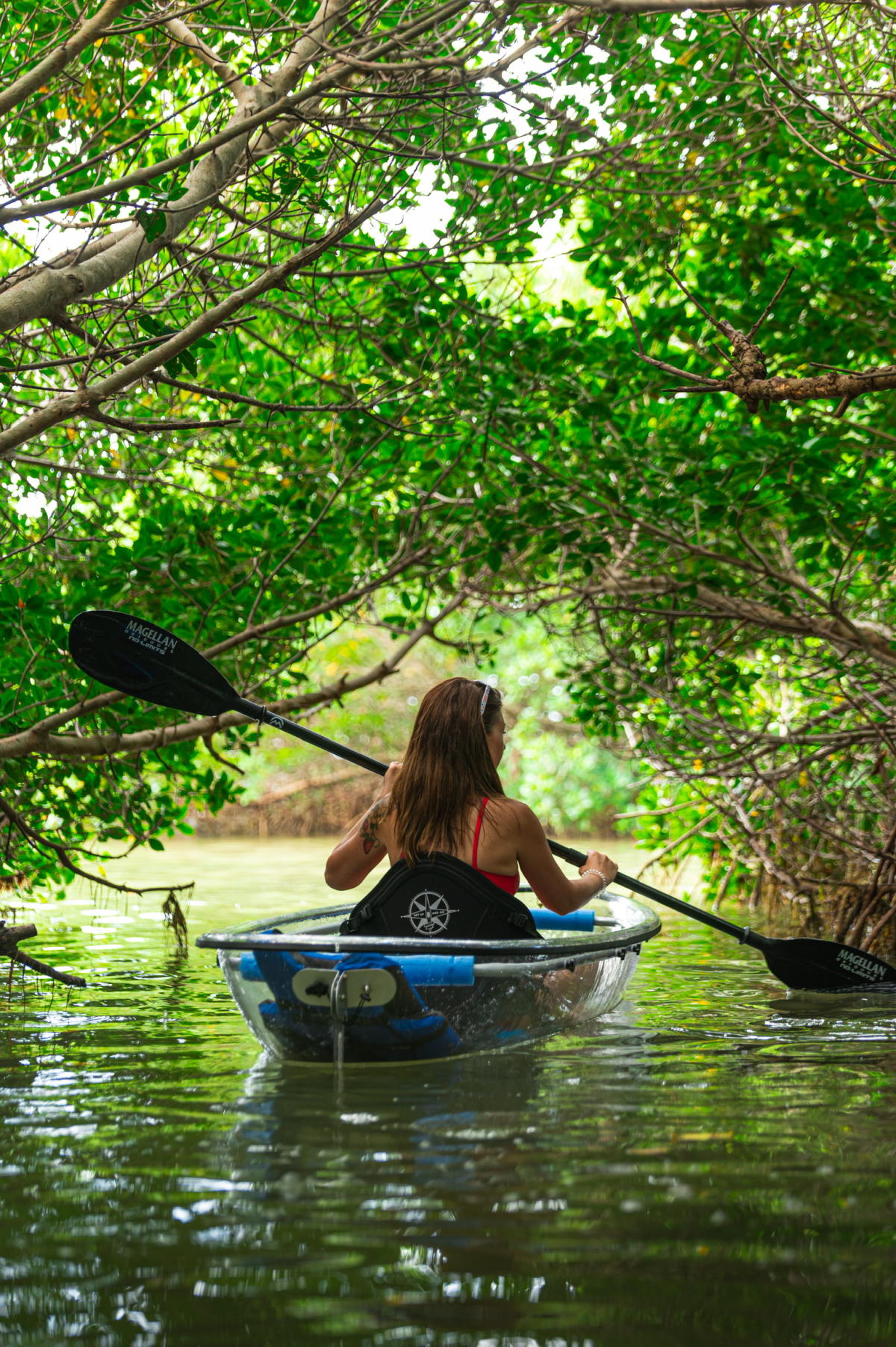 Get Up and Go Kayaking Tampa Bay in Tierra Verde | VISIT FLORIDA