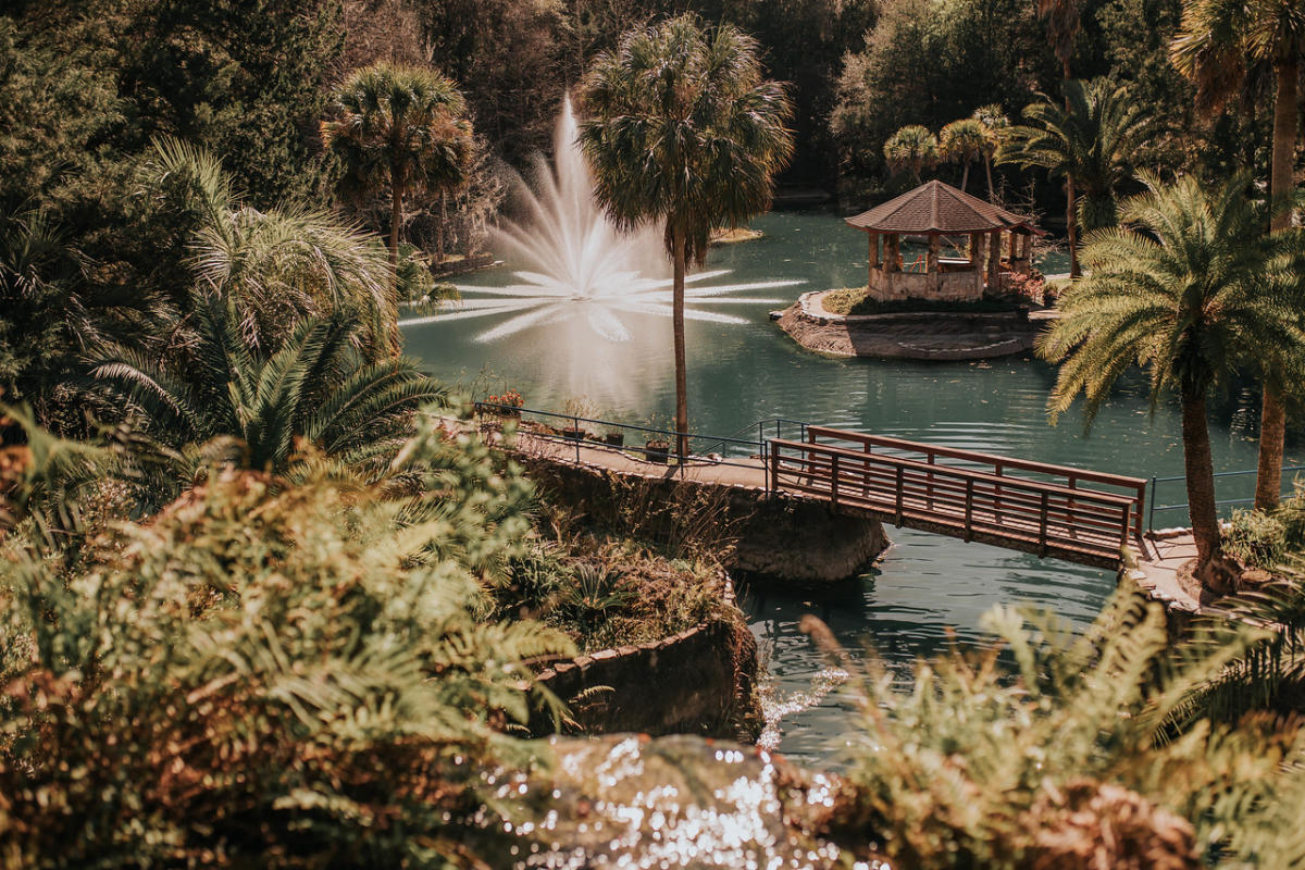 Cedar Lakes Woods and Gardens in Williston | VISIT FLORIDA