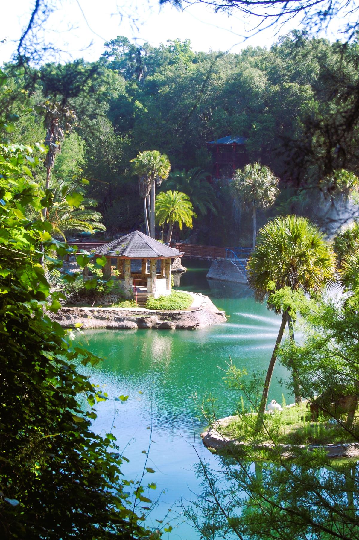 Cedar Lakes Woods and Gardens in Williston | VISIT FLORIDA