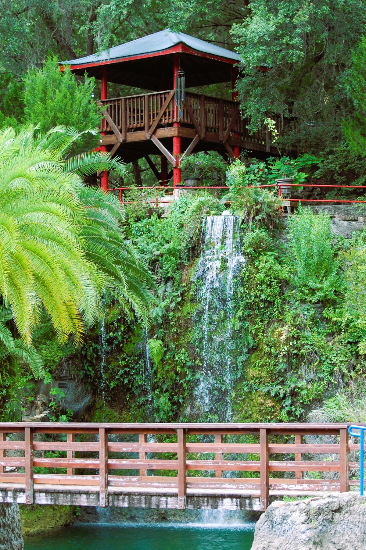 Cedar Lakes Woods and Gardens in Williston | VISIT FLORIDA