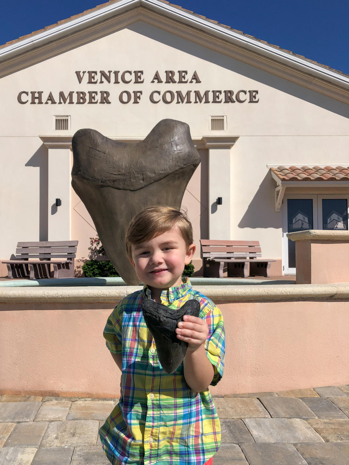 Venice Area Chamber of Commerce in Venice | VISIT FLORIDA