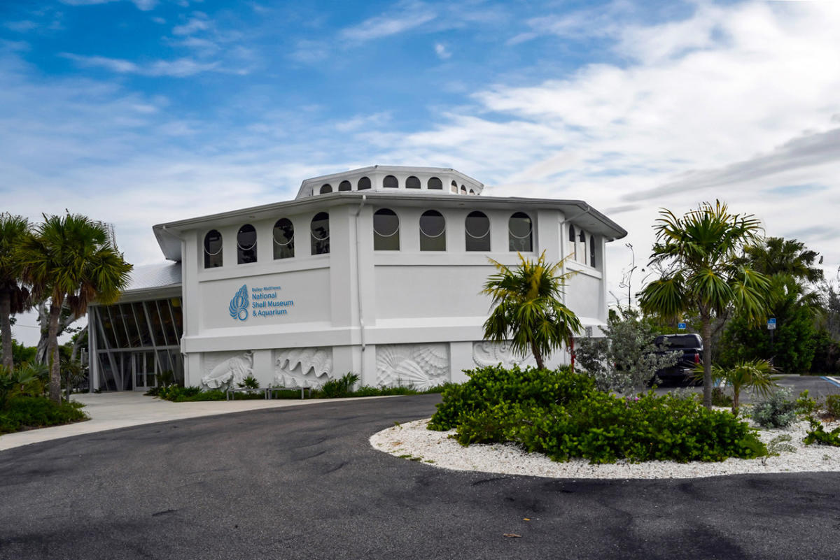 The Bailey-Matthews National Shell Museum & Aquarium in Sanibel | VISIT ...