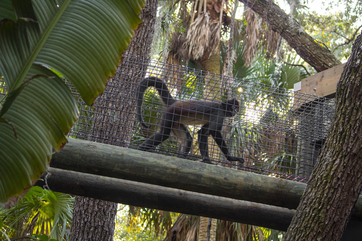 Brevard Zoo in Melbourne | VISIT FLORIDA